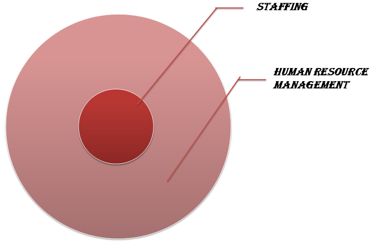 Staffing as a Part of Human Resource Management (HRM) Class 12 Notes